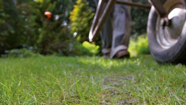 Dalles gazon et gravier ACO pour un gazon et allée carrossable