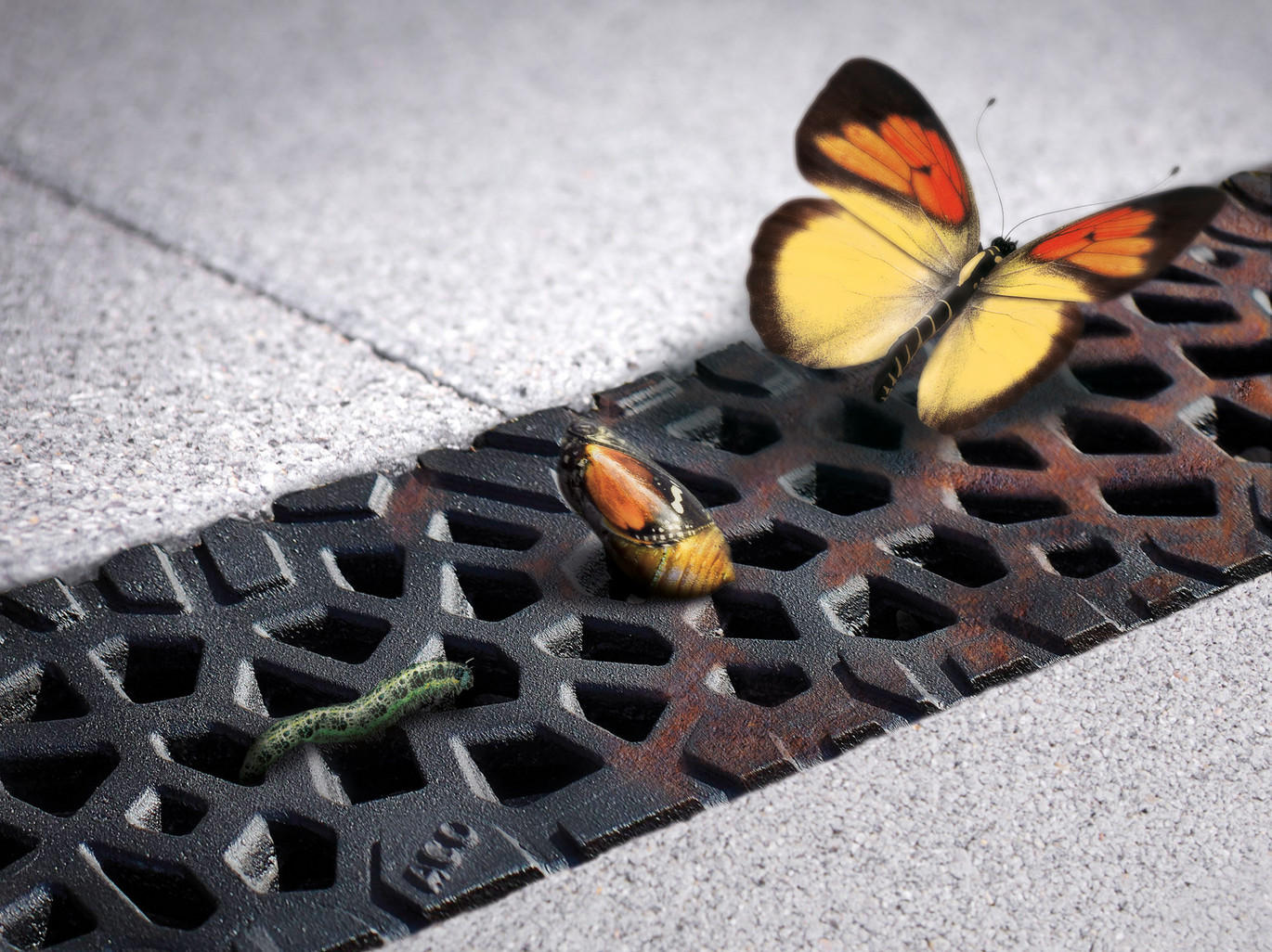 Euroline Voronoï, afvoergoot met een rooster "inspired by nature"